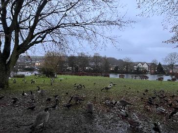 Stevenage - BBC Weather