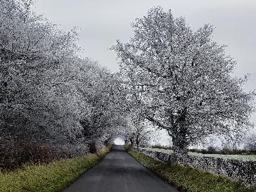 Killyleagh - BBC Weather
