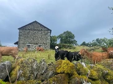 Ambleside - BBC Weather