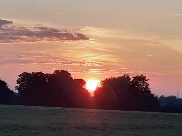 Colchester - BBC Weather