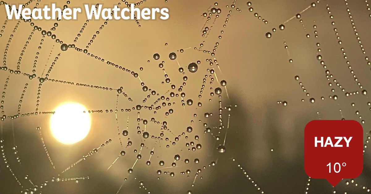Report - BBC Weather Watchers