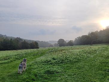 Guildford - BBC Weather
