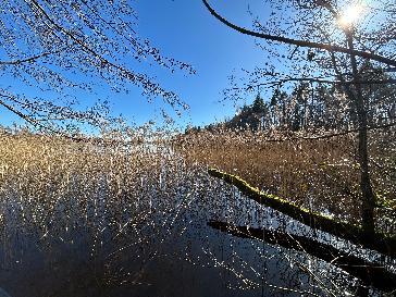 Oswestry - BBC Weather