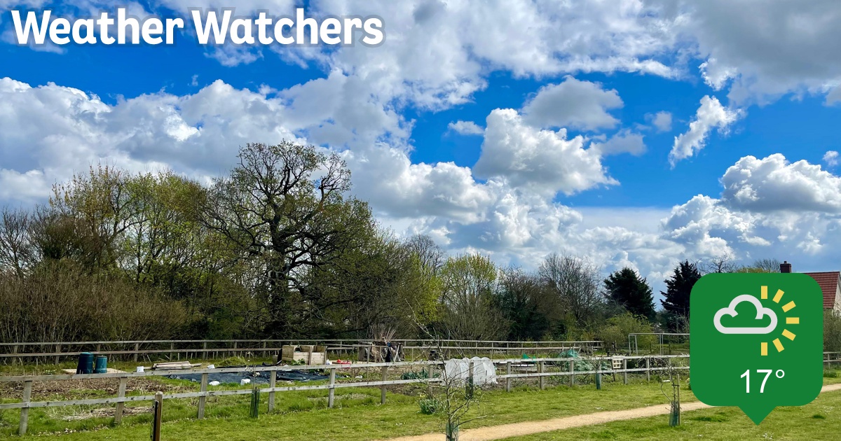 Report - BBC Weather Watchers