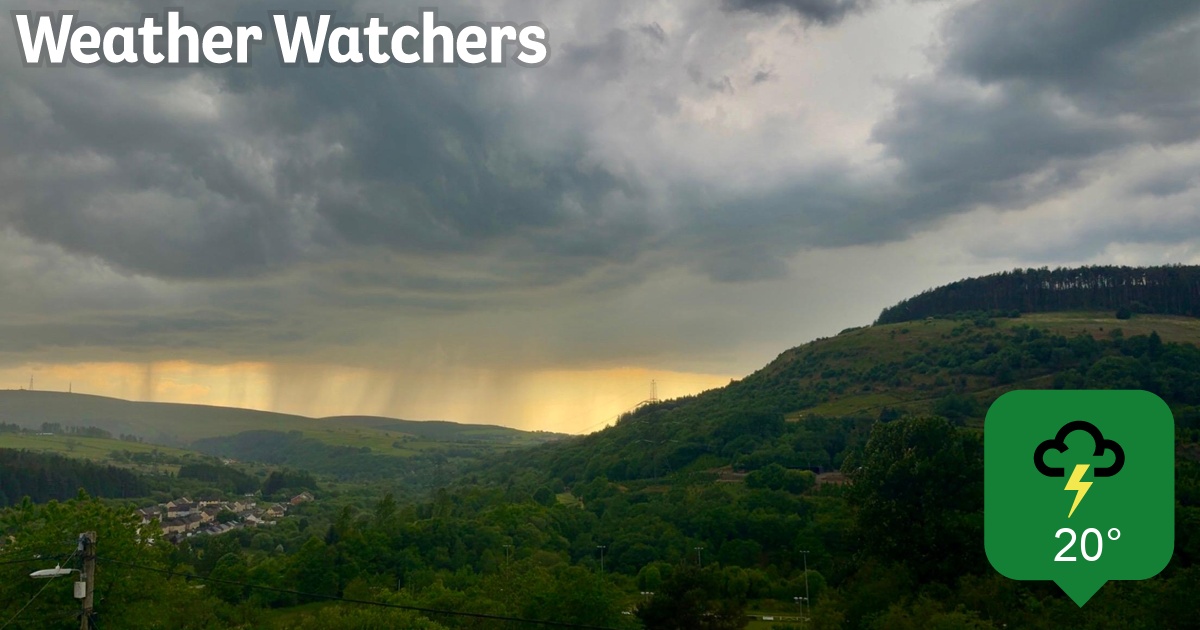 Report - BBC Weather Watchers