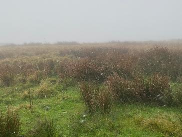 Evesham - BBC Weather