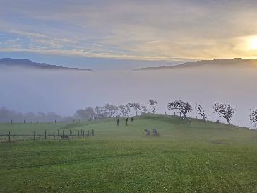Ambleside - BBC Weather