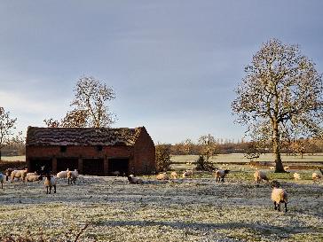 Stratford-upon-Avon - BBC Weather