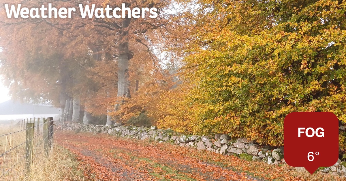 Report - BBC Weather Watchers