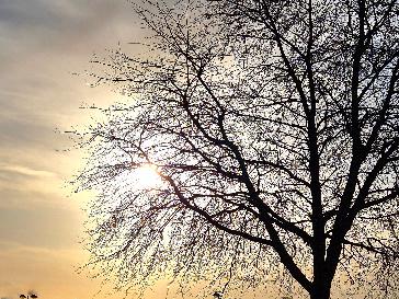 Dunblane - BBC Weather