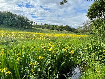 Colchester - BBC Weather
