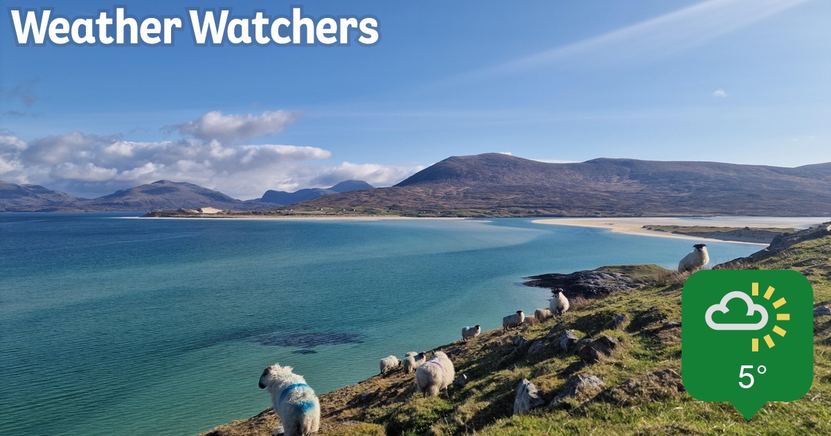 Report - BBC Weather Watchers