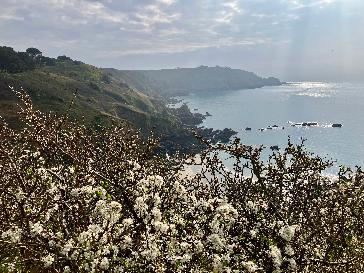 Alderney Airport - BBC Weather
