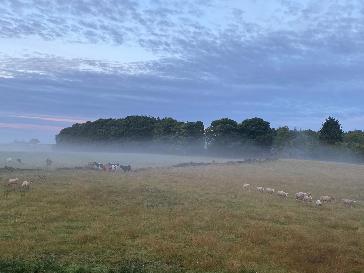 Wakefield - BBC Weather