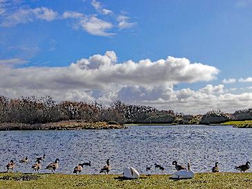 Clitheroe - BBC Weather