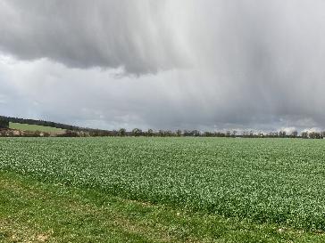 Norwich - BBC Weather