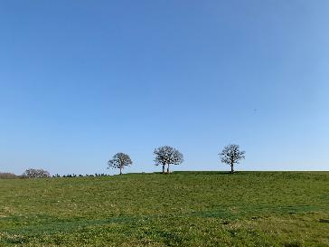Guildford - BBC Weather