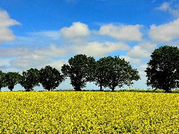 Great Yarmouth - BBC Weather