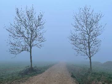 Maidenhead - BBC Weather