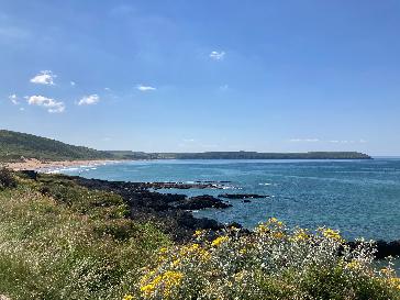 Exeter - BBC Weather