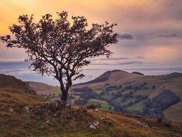 Buckley - BBC Weather
