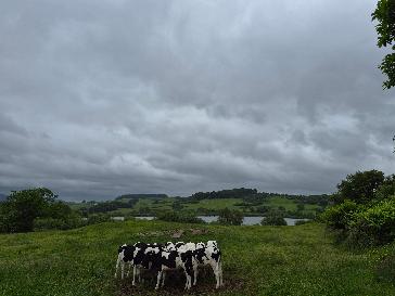 Irvine - BBC Weather