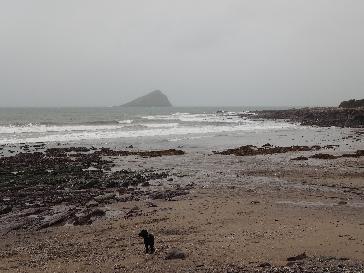 Plymouth - BBC Weather