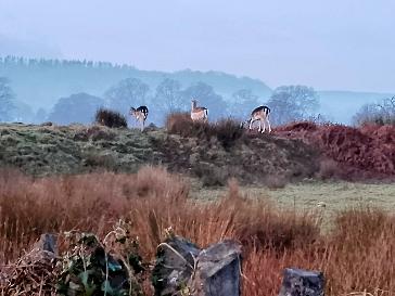 Exeter - BBC Weather