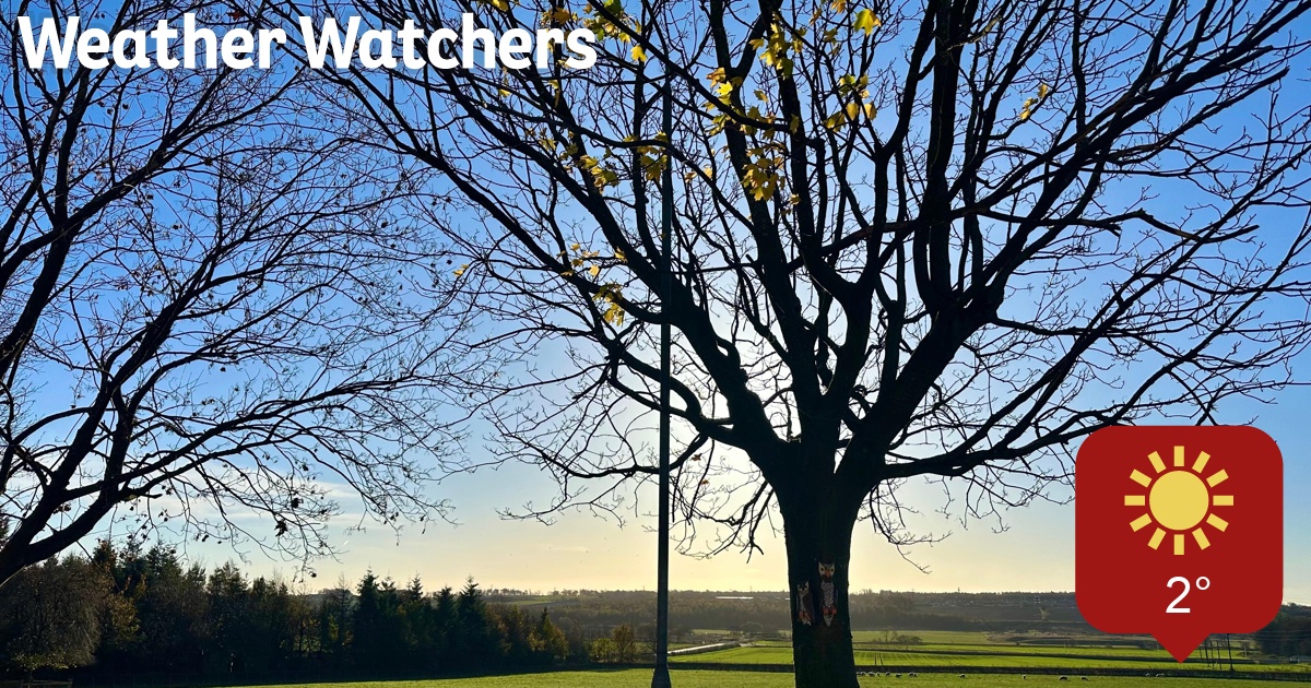 Report - BBC Weather Watchers