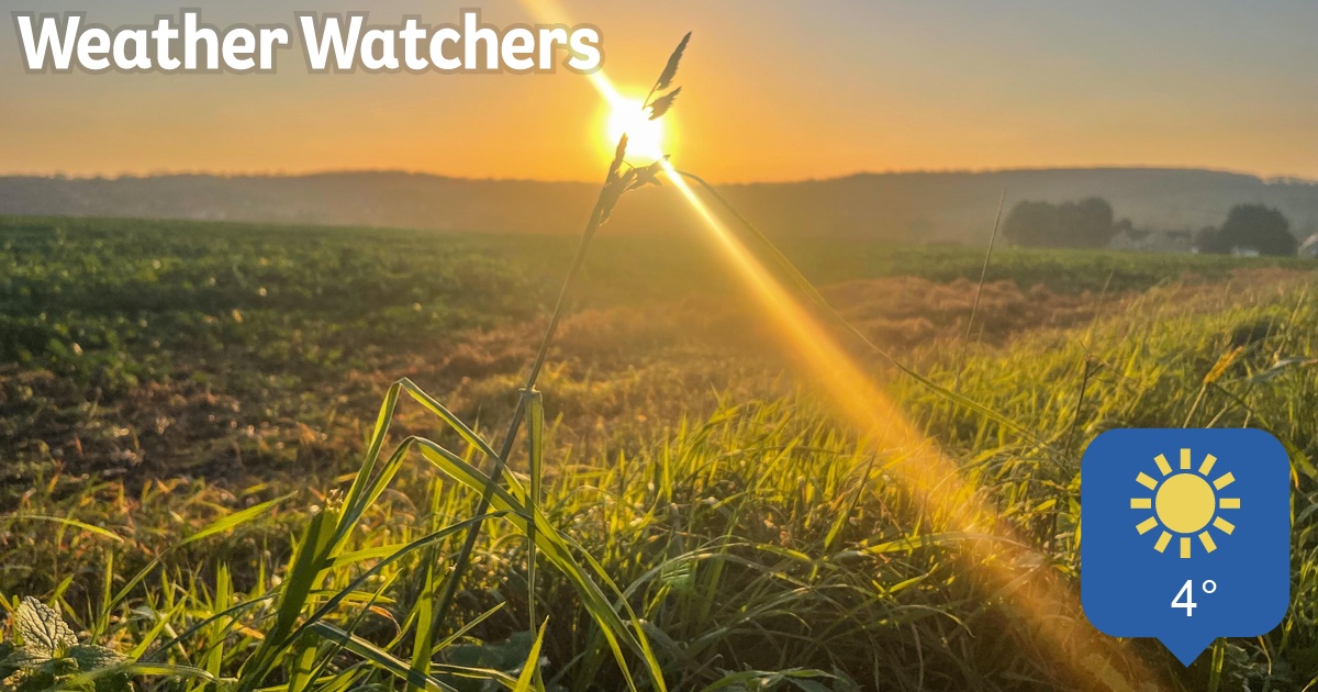 Report - BBC Weather Watchers