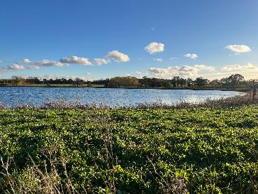 Witham - BBC Weather