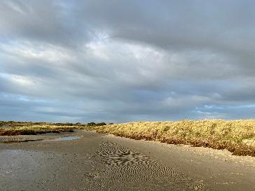 Crawley - BBC Weather