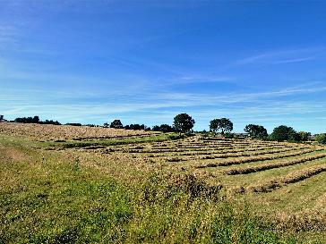 Liverpool - BBC Weather