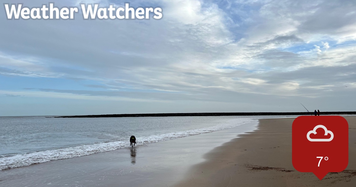 Report - BBC Weather Watchers