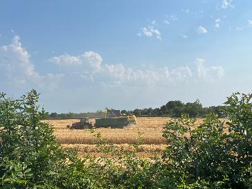 Newcastle upon Tyne - BBC Weather