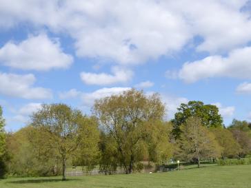 Denbigh - BBC Weather
