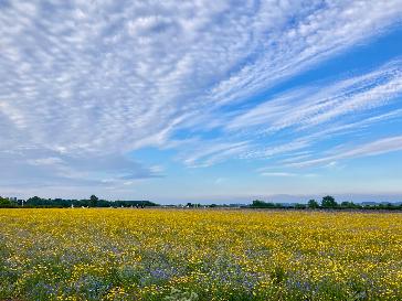 Evesham - BBC Weather
