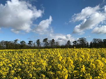 Cambridge - BBC Weather