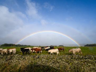 Bingley - BBC Weather