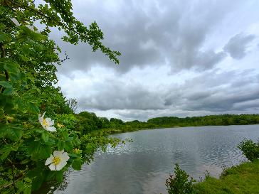 Newport - BBC Weather