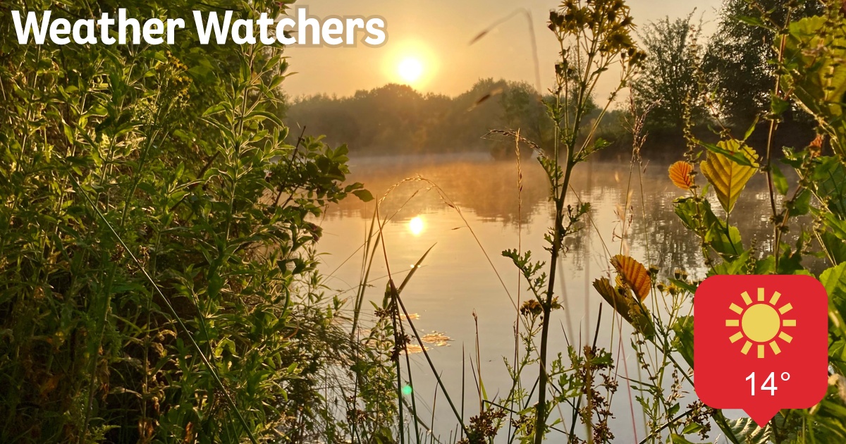 Report - BBC Weather Watchers