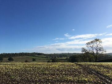 Leicester - BBC Weather