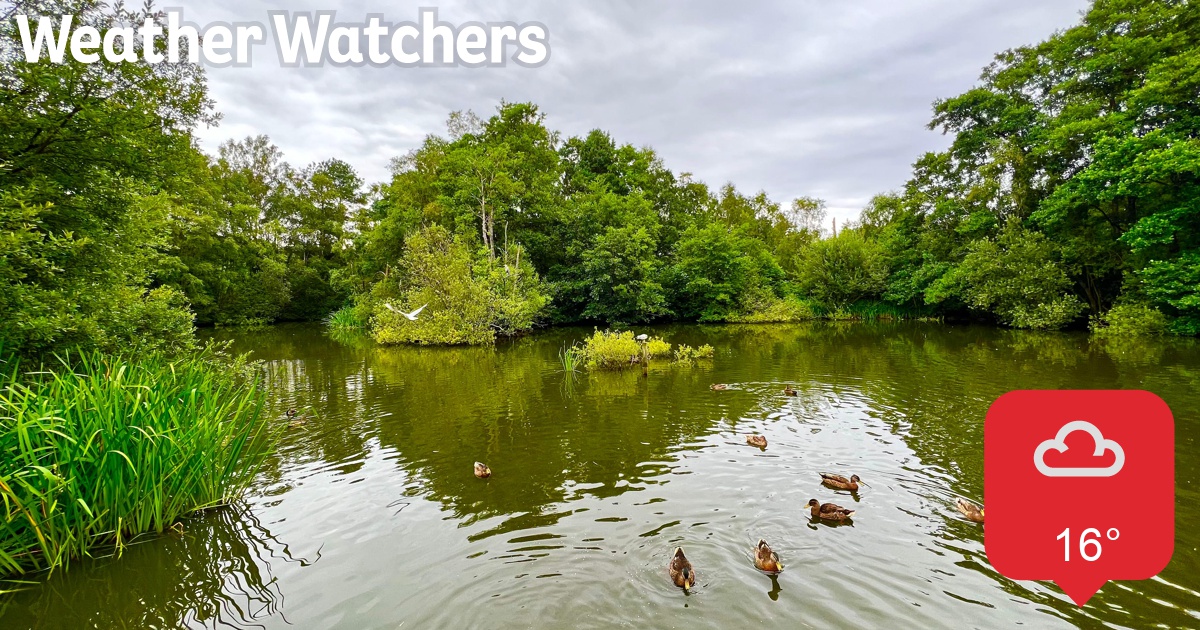 Report - BBC Weather Watchers