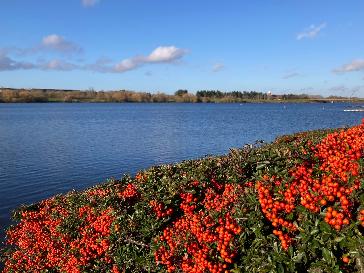 Broxbourne - BBC Weather