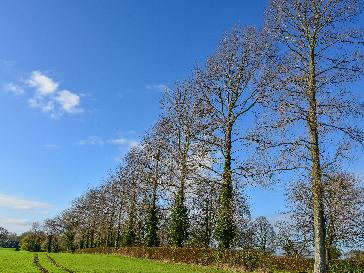 Grantham - BBC Weather