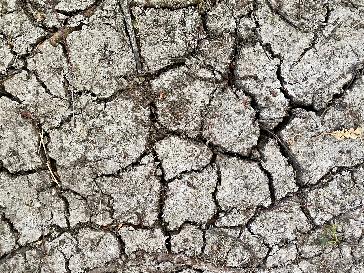 Luton Airport - BBC Weather
