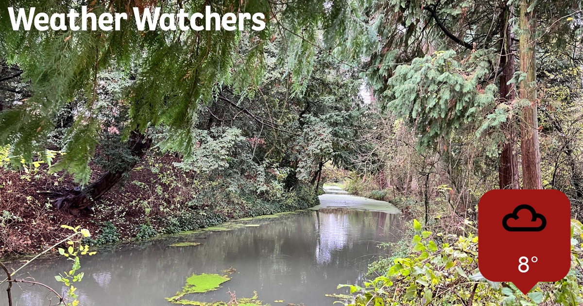 Report - BBC Weather Watchers