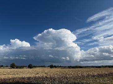 Harrogate - BBC Weather