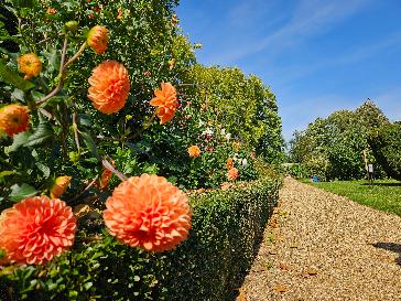 Norwich - BBC Weather