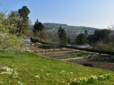 Torquay - BBC Weather